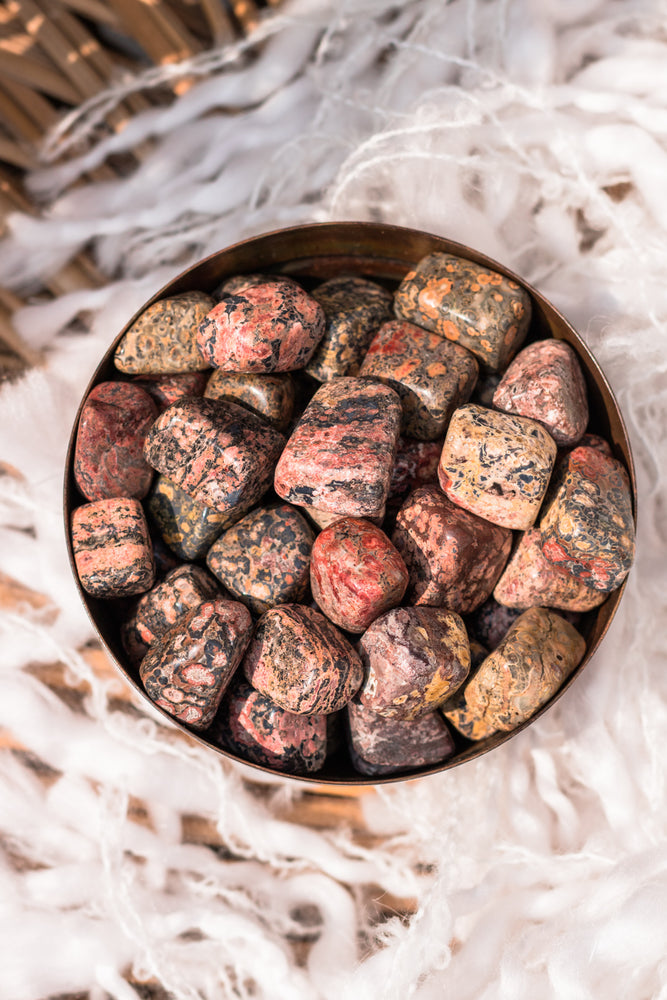 Leopard Skin Jasper Tumbled Stone – Selene Stone