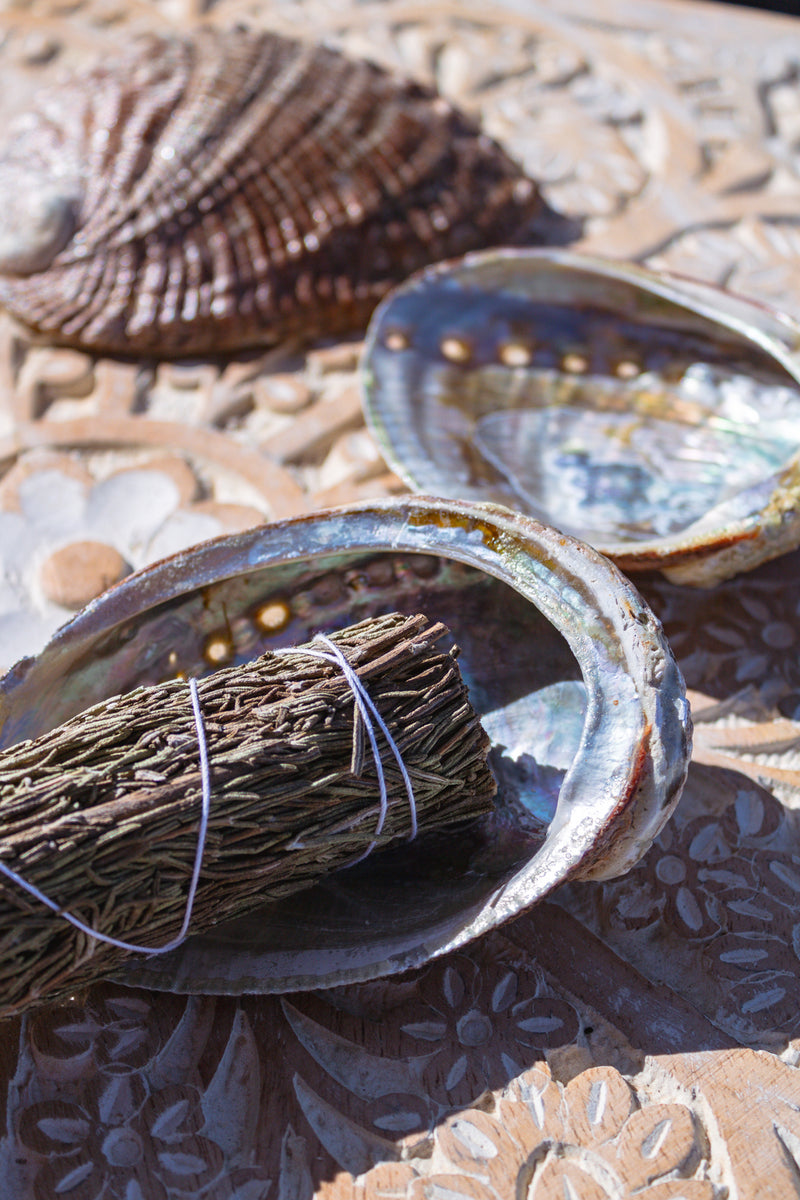 Abalone Shell – Selene Stone