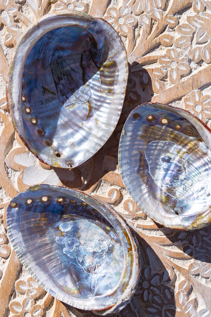 Abalone Shell – Selene Stone